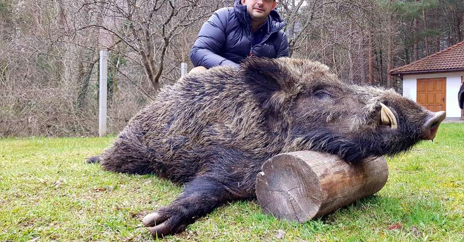 Bulgaria hunting trips - BookYourHunt.com