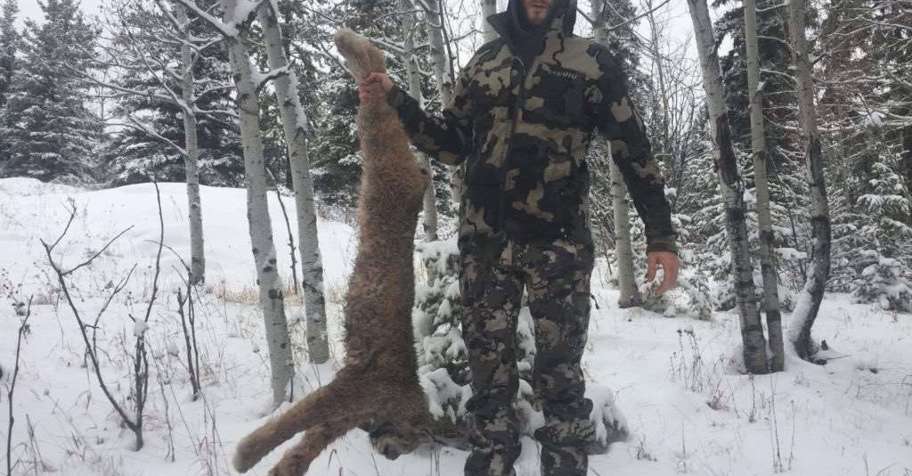 Lynx hunting trips - BookYourHunt.com