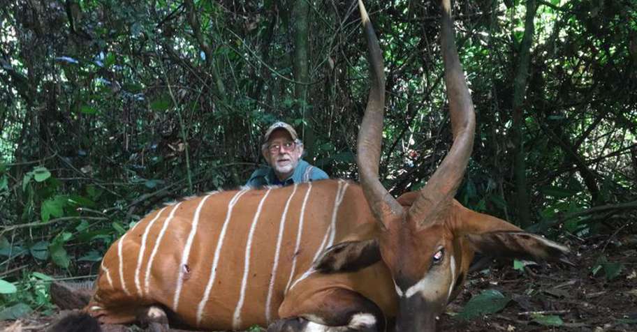 Bongo hunting trips - BookYourHunt.com