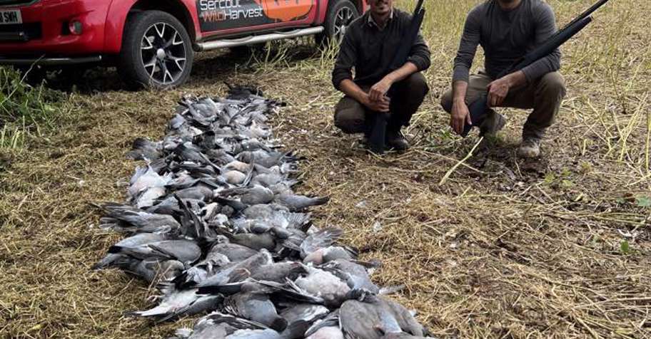 Scotland hunting trips - BookYourHunt.com