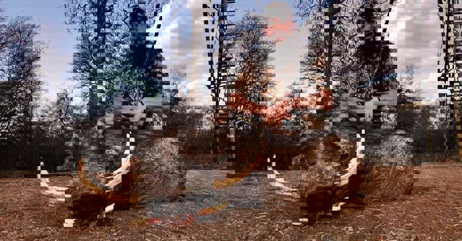 Warthog hunting trips - BookYourHunt.com