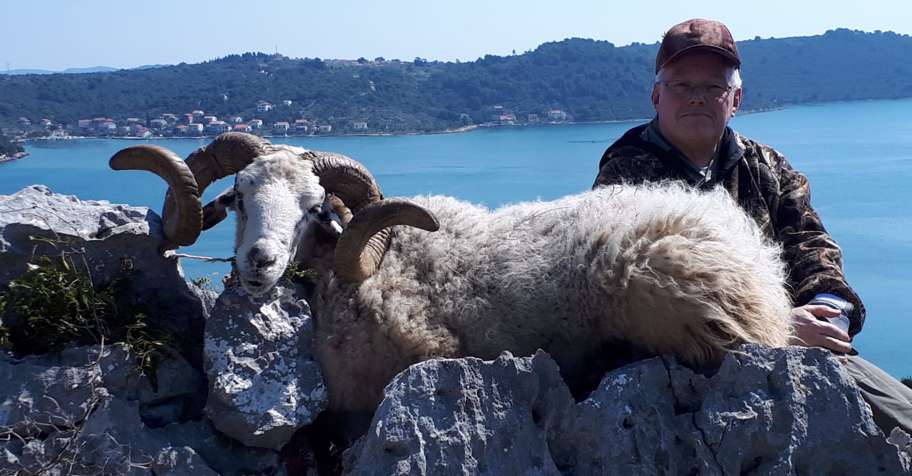 Dalmatian Wild Sheep hunting trips - BookYourHunt.com