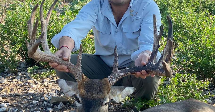 Mexico hunting trips - BookYourHunt.com