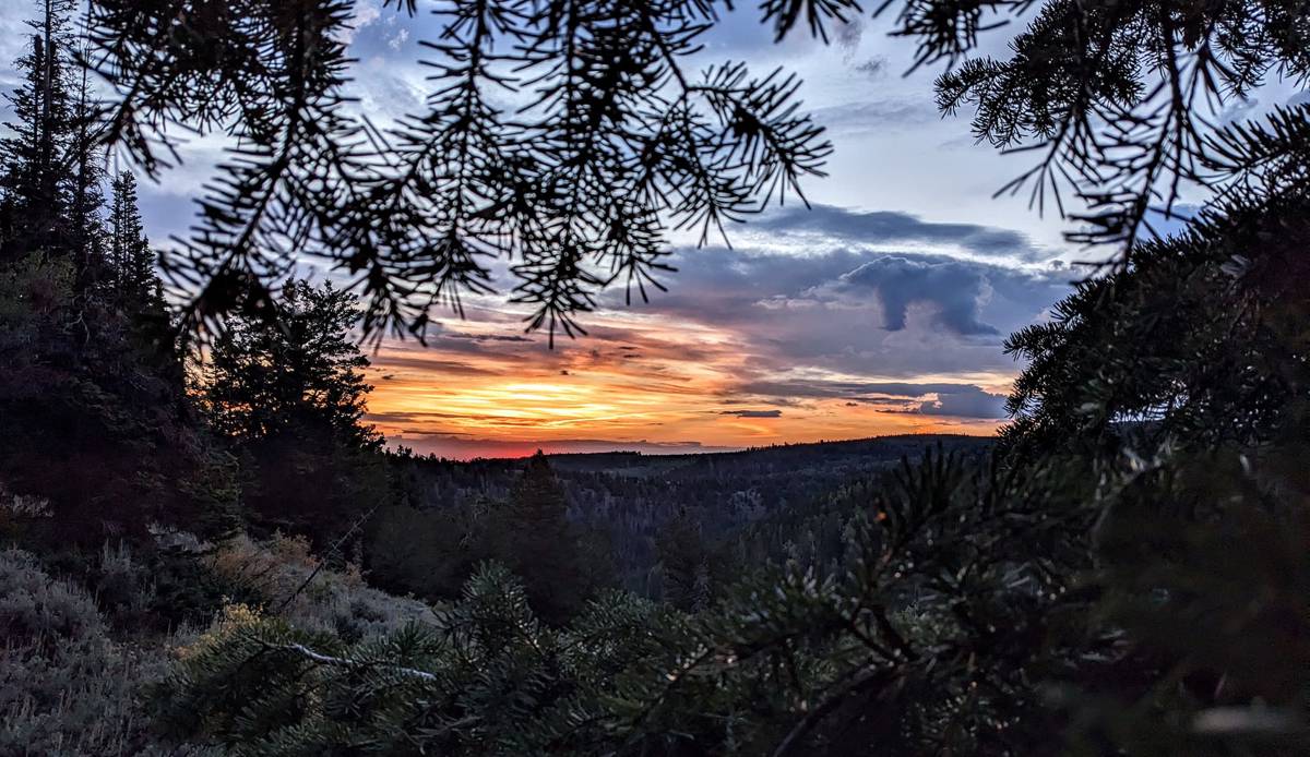 Hunting trips on "Heber City, UT" territory - BookYourHunt.com