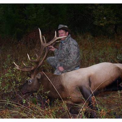 Elk hunting in Canada - BookYourHunt.com