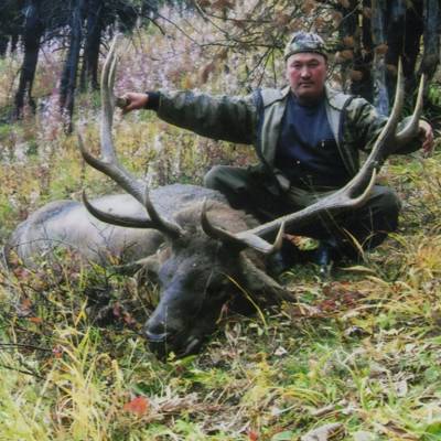 Elk hunting in Russia - BookYourHunt.com