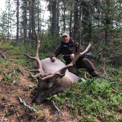 Elk hunting in Russia - BookYourHunt.com